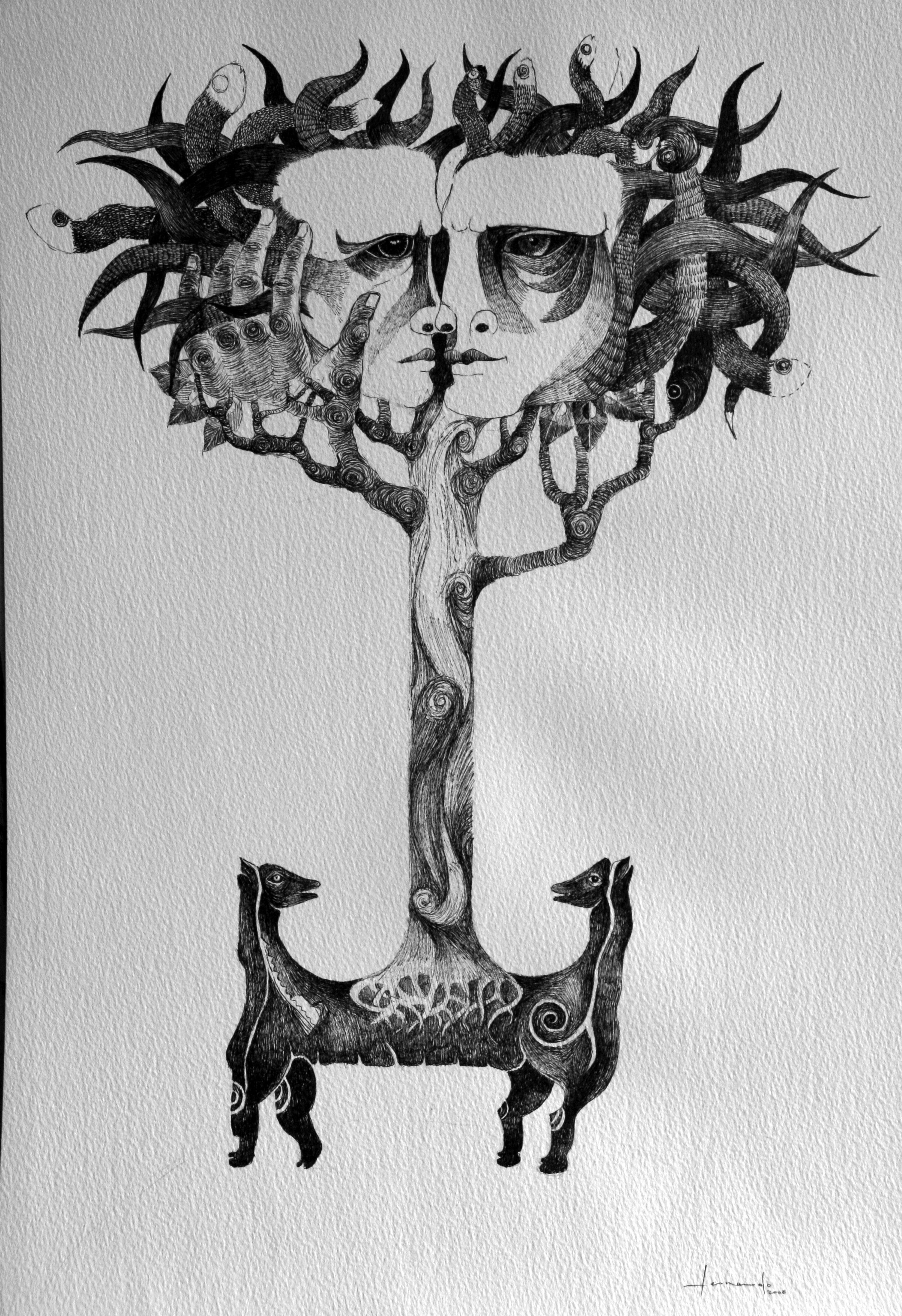 Drawings – FERNANDO CACERES